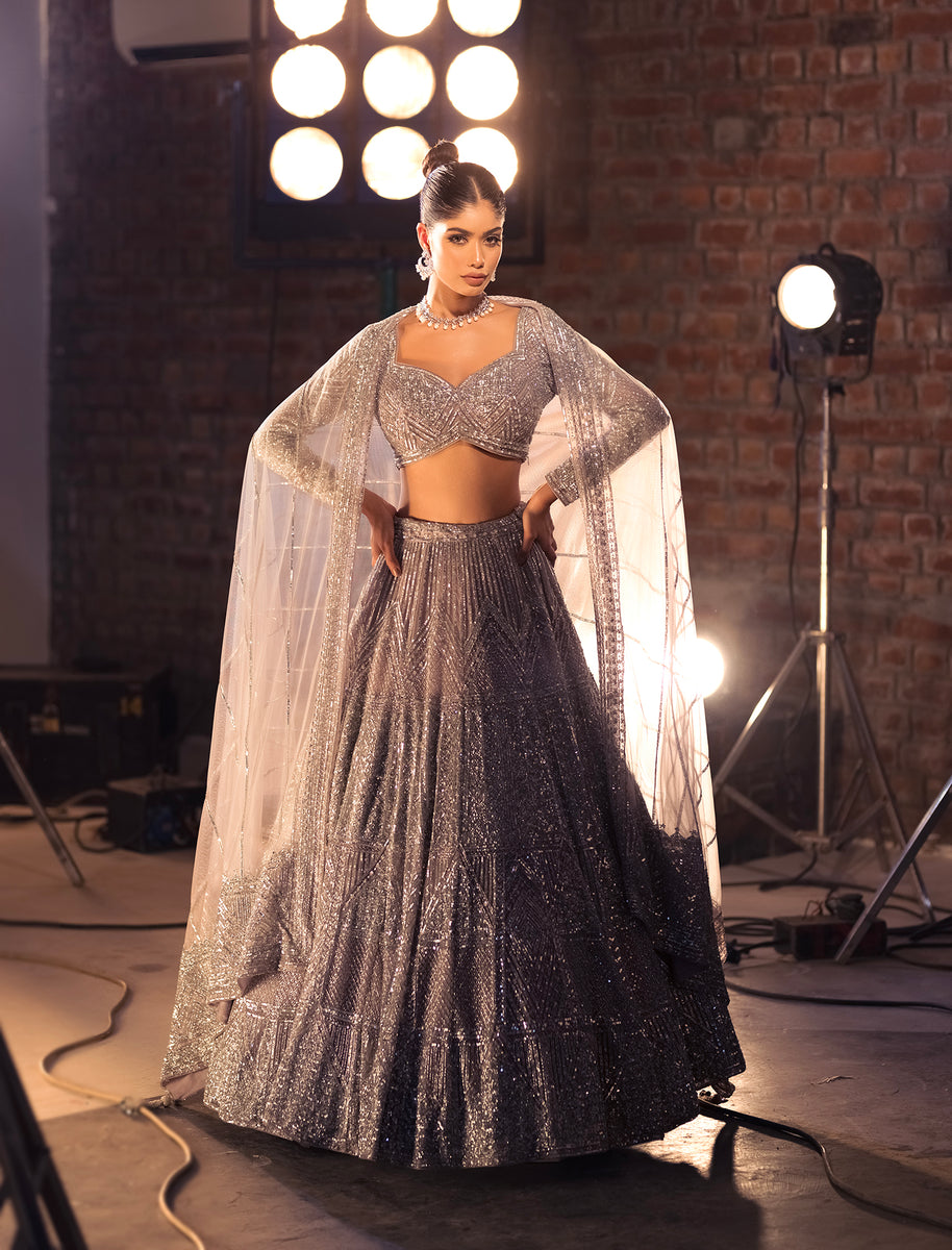 Astraea- Metallic Gray Embroidered Lehenga Set – Balbir Store Ludhiana